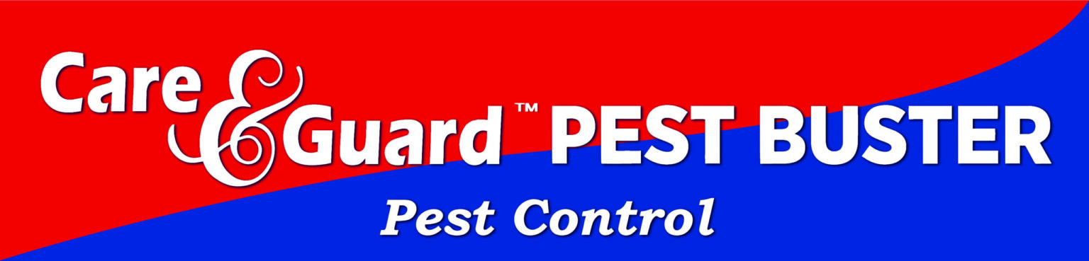 Pest Buster Chalk – careandguard.in